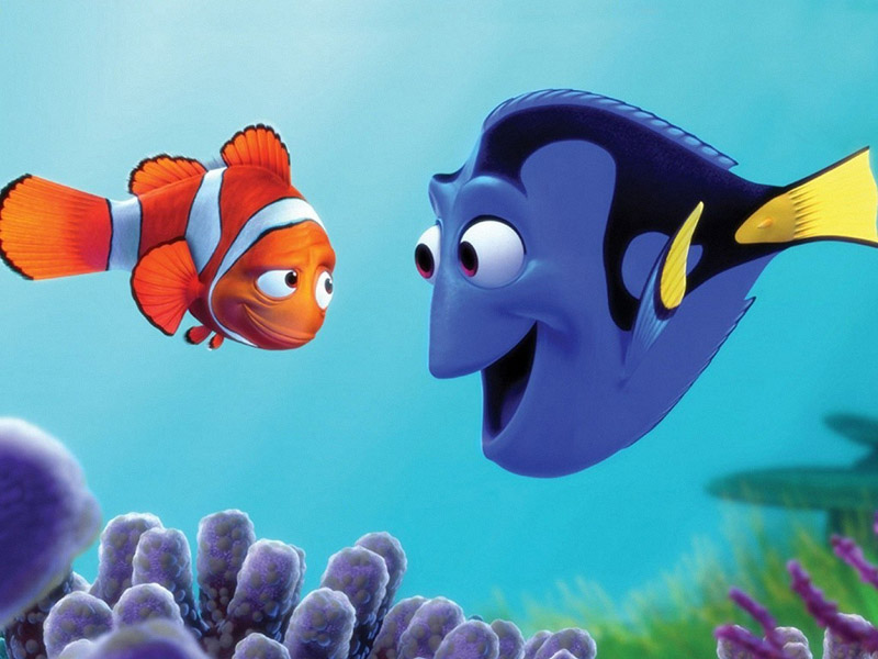 Qual tipo de peixe é o Nemo e a Dory? Veja aqui - QC Animais